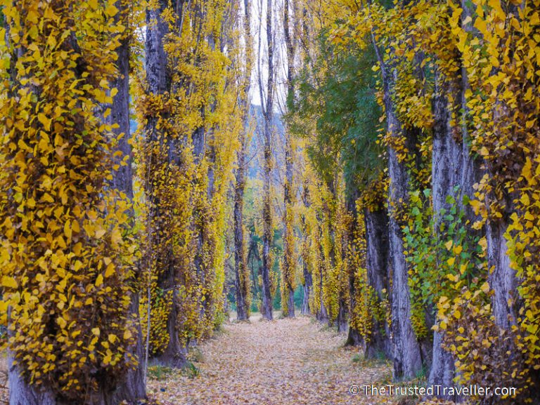 Things to Do in Victoria's High Country in 2024 - The Trusted Traveller